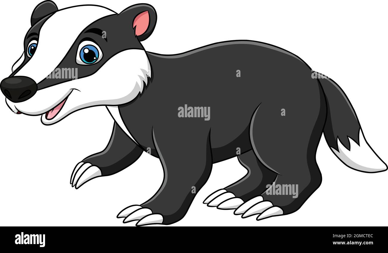 Cute Badger cartoon vector illustration Stock Vector Image & Art - Alamy