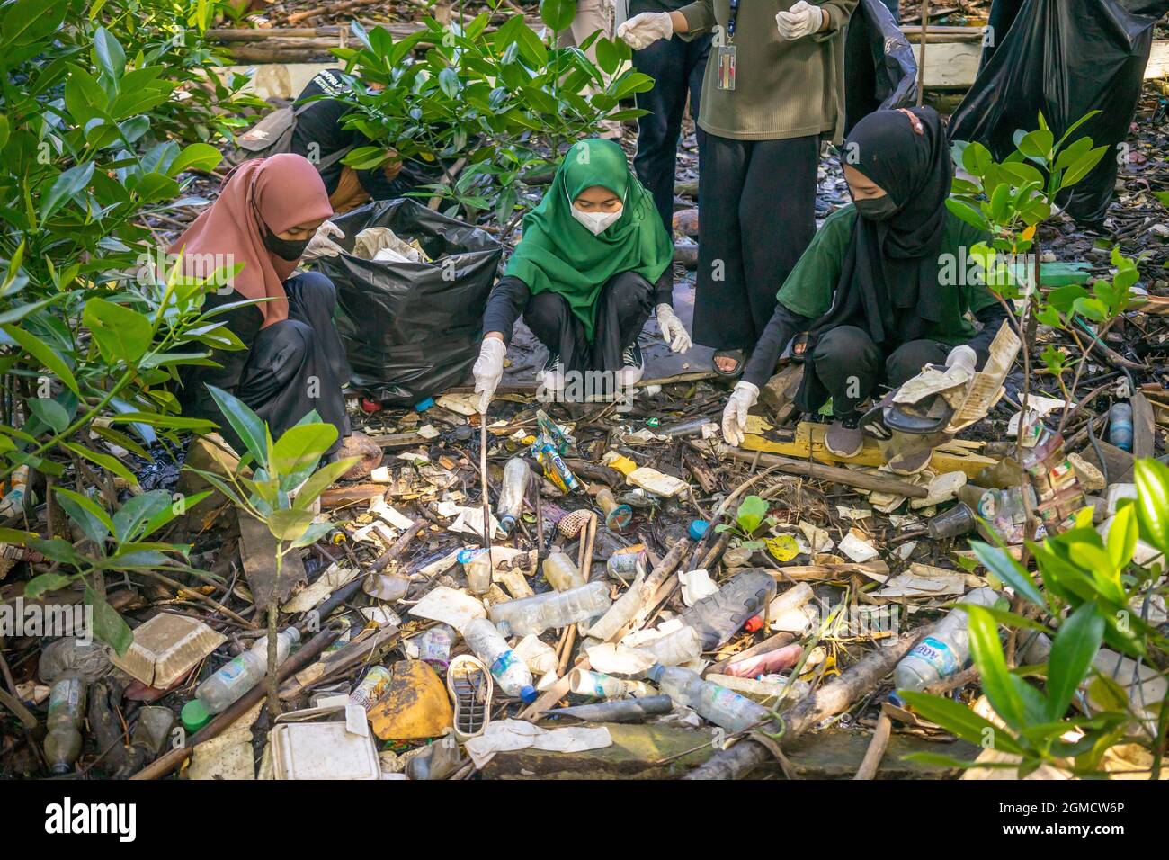 Solid waste program hi-res stock photography and images - Alamy