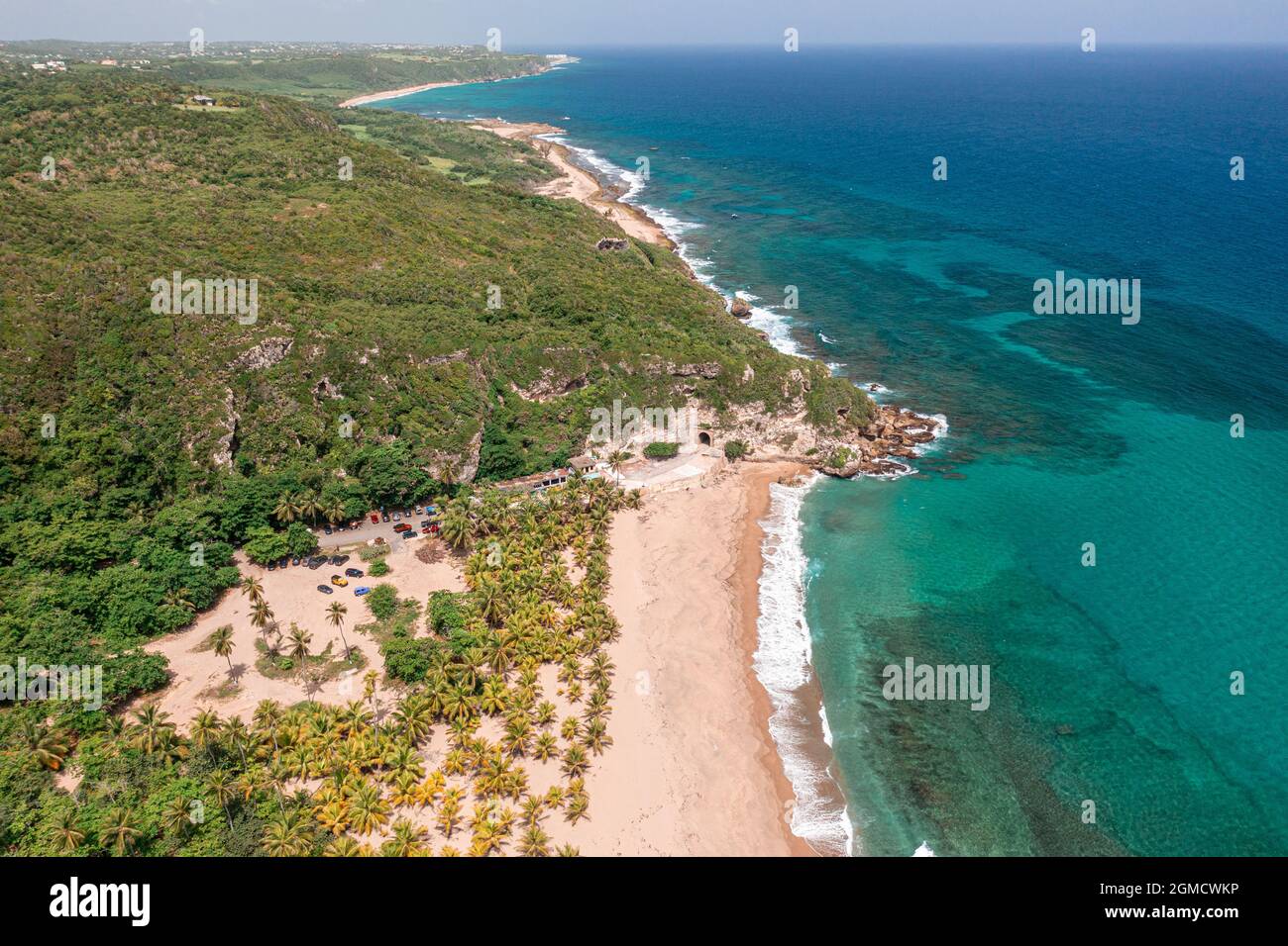Aerial view of a cliff with bushes and palm trees by the beach with ...