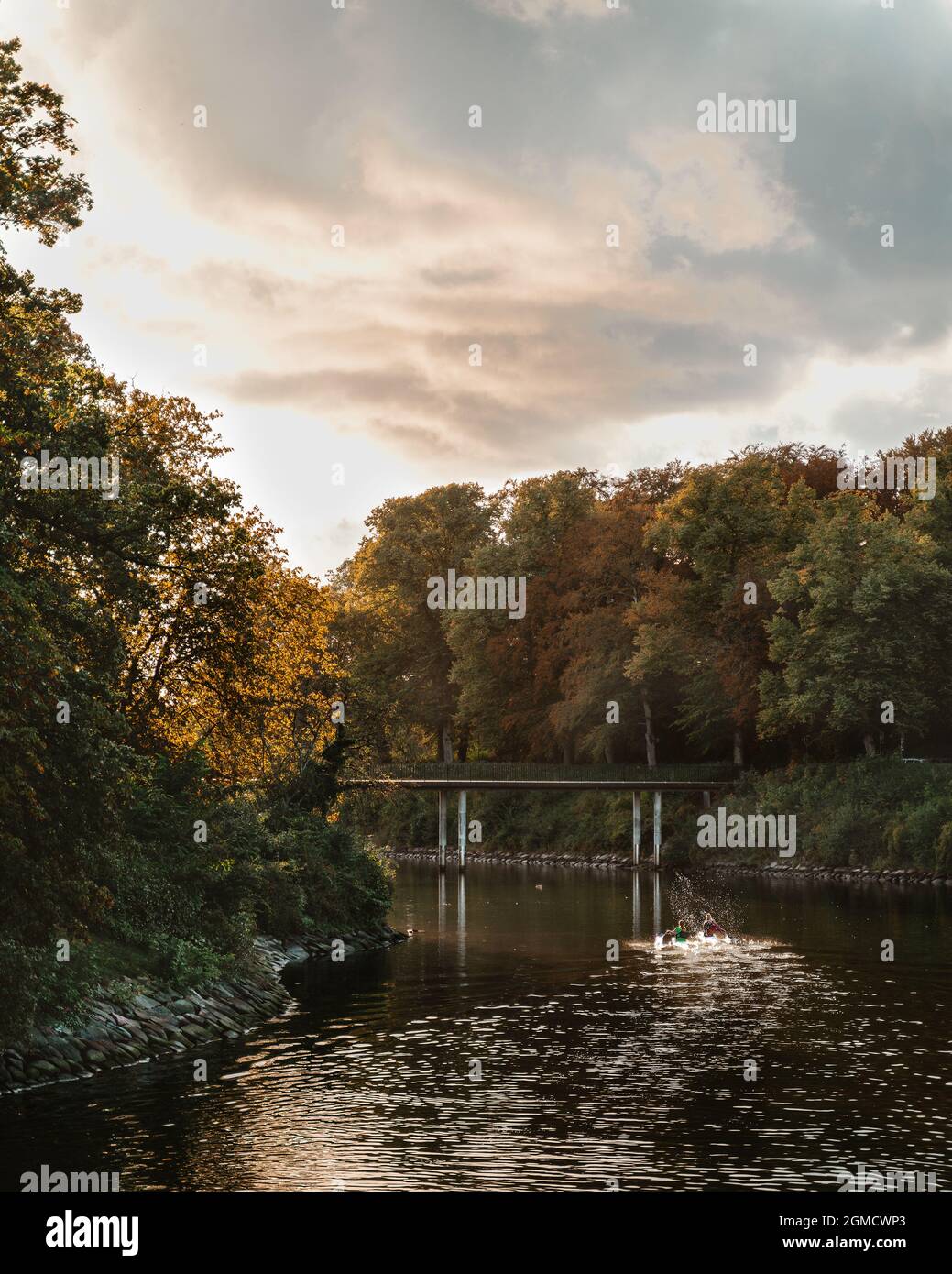 Vertical shot of a shiny river surrounded with dense trees under a ...