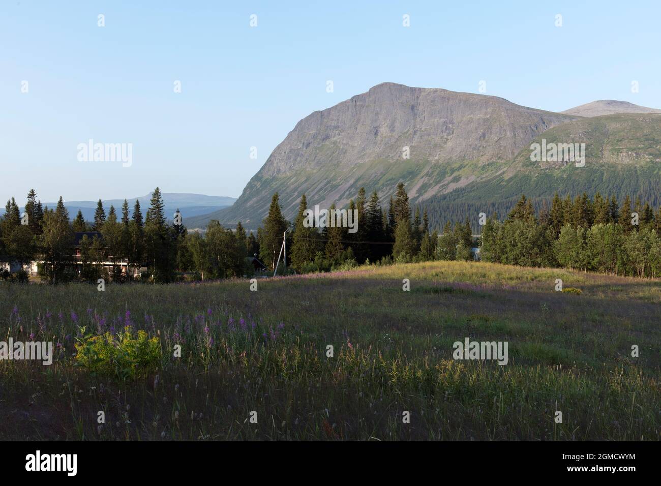 Huge cliff, rock beyond forest and lake. Medows this side, morning ...