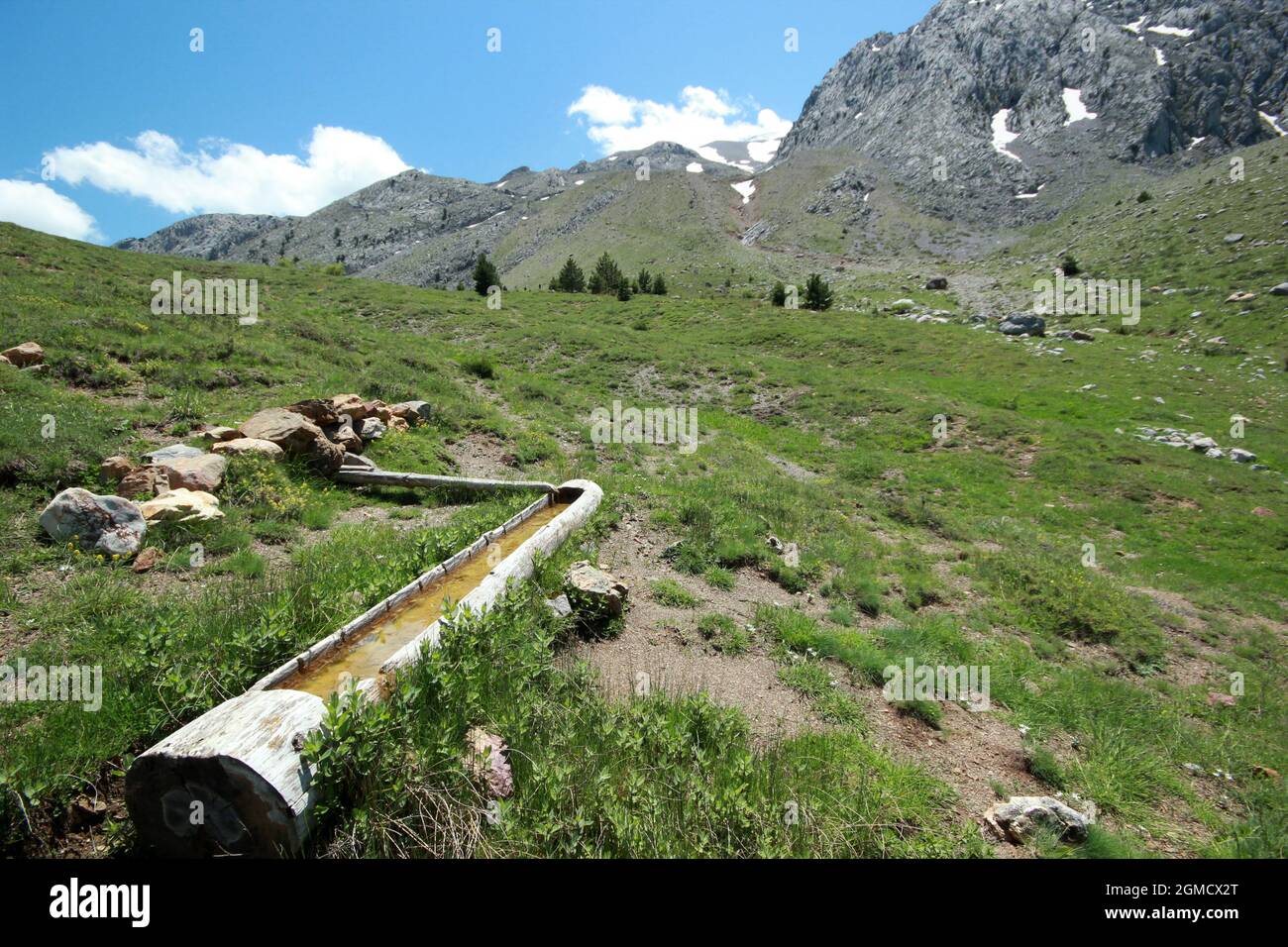 Natural spring water. Natural tree trunk fountain Stock Photo - Alamy