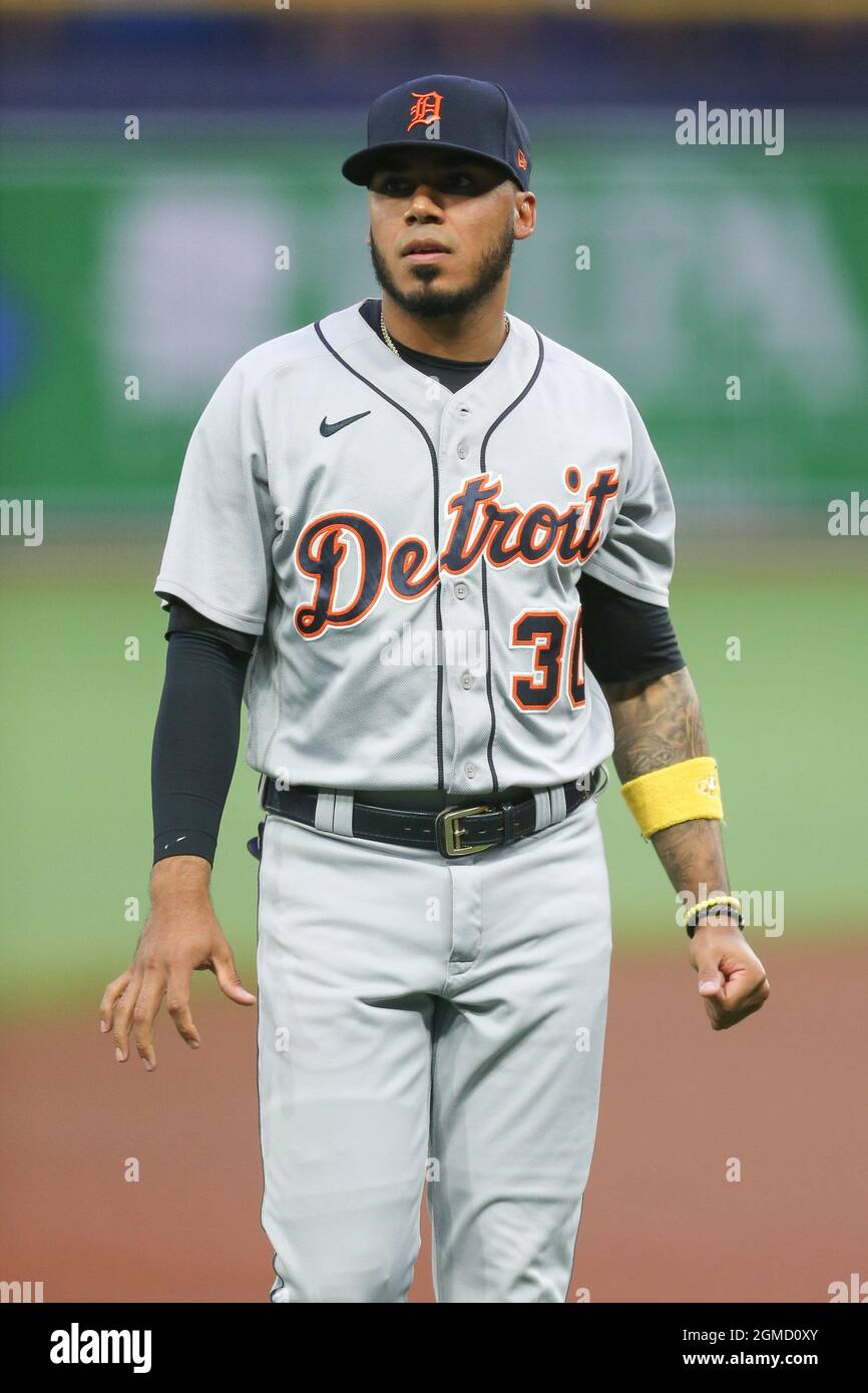 St. Petersburg, FL. USA; Detroit Tigers second baseman Harold Castro ...