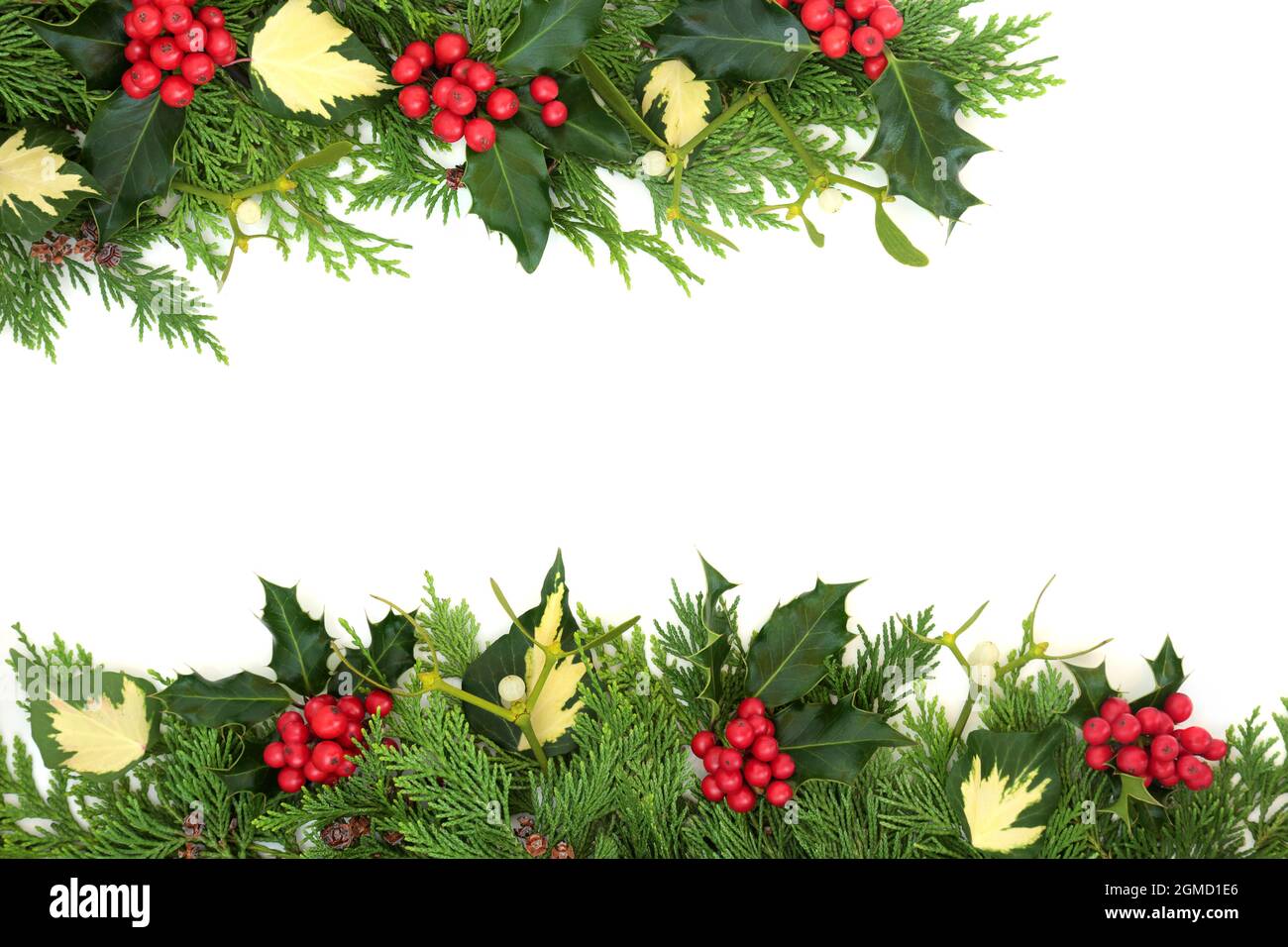 Holly Top Border