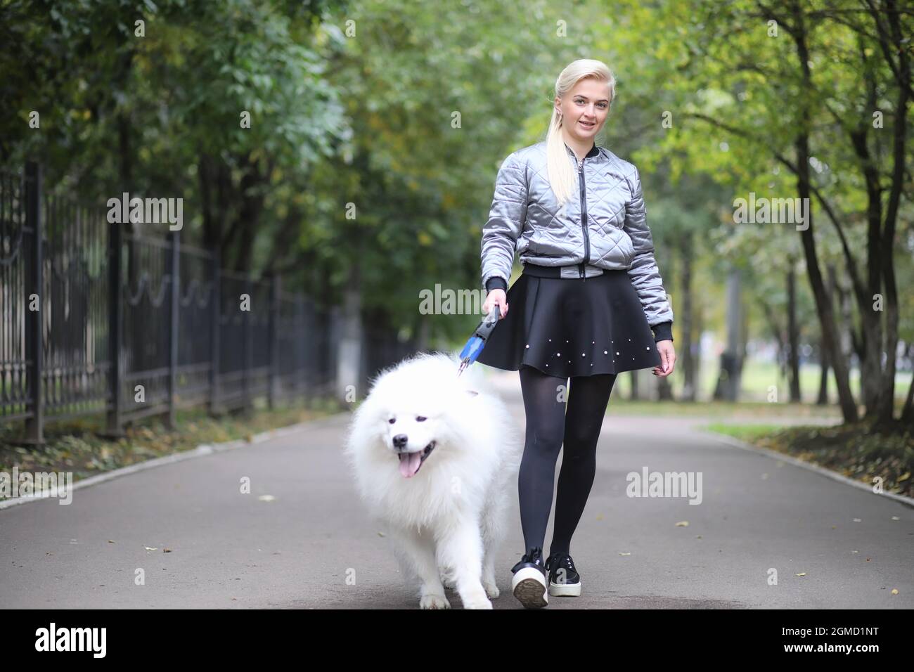 Lovely girl on a walk with a beautiful fluffy dog Samoyed Stock Photo ...