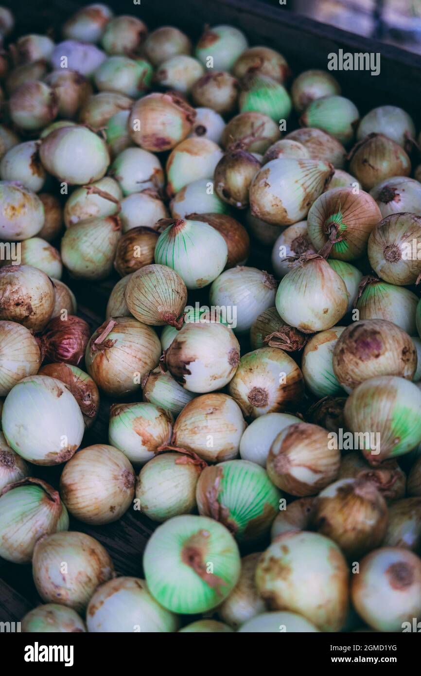 Vertical closeup shot of onion bulbs stacked on each other - for ...
