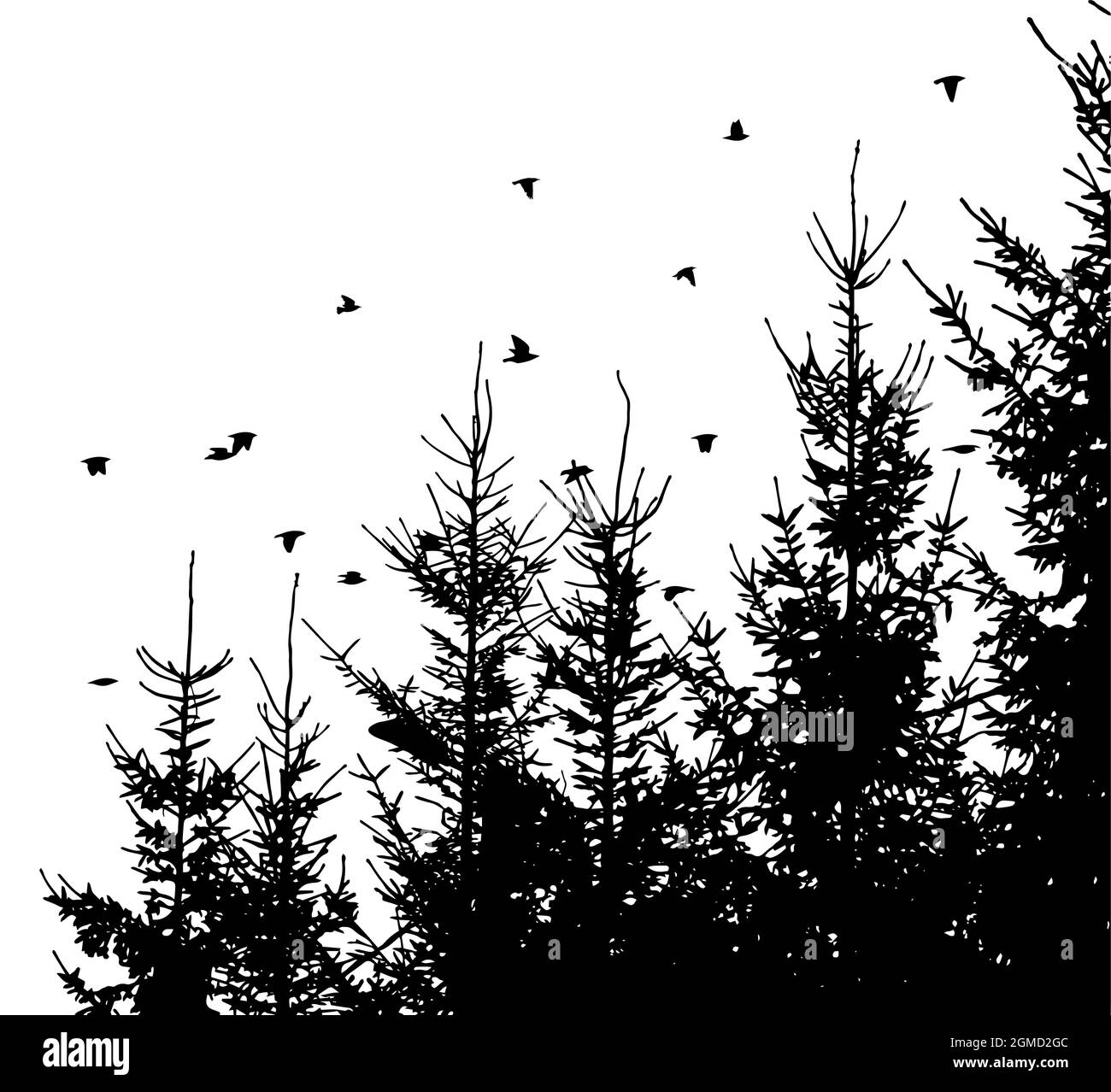 A flock of flying birds and a fir forest. Vector illustration Stock ...