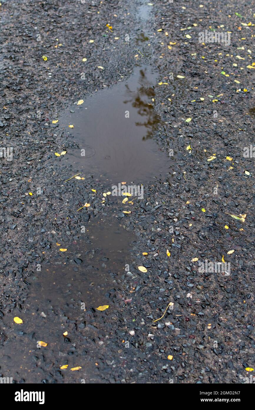 Wet brown puddle texture hi-res stock photography and images - Alamy