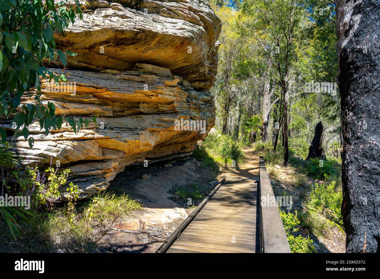 A walking track in Blackdown Tableland National Park, Queensland ...