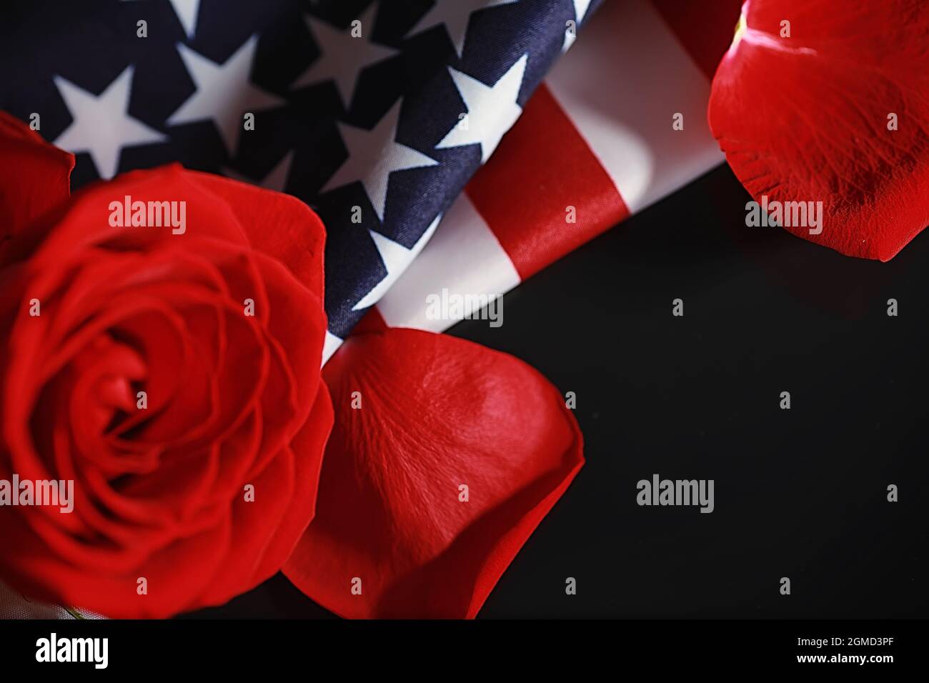 American flag and rose flower on table. Symbol of the United States of ...