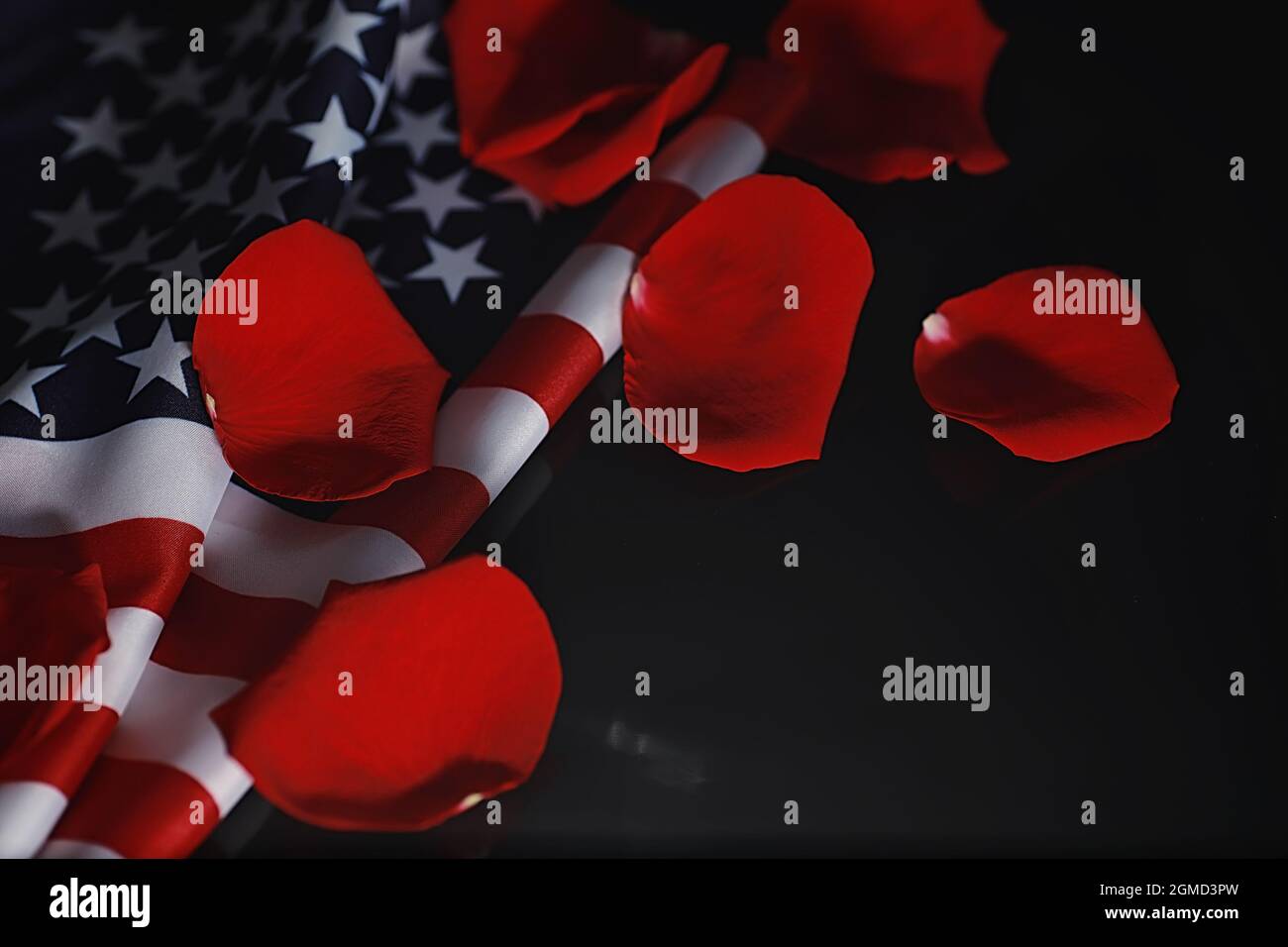 American flag and rose flower on table. Symbol of the United States of ...