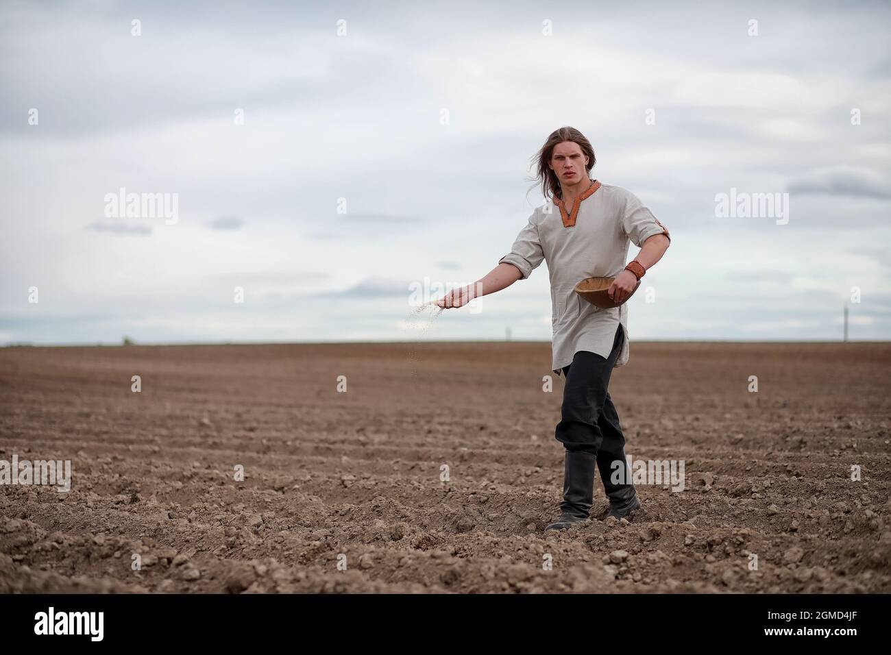 A young peasant of the Scandinavian appearance sows the field with ...