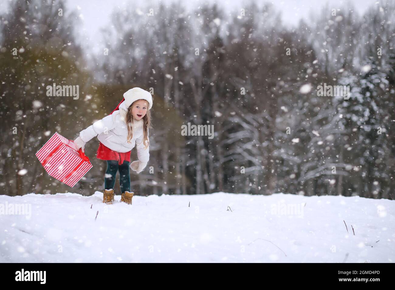 Winter fairy tale, a young mother and her daughter ride a sled in the ...