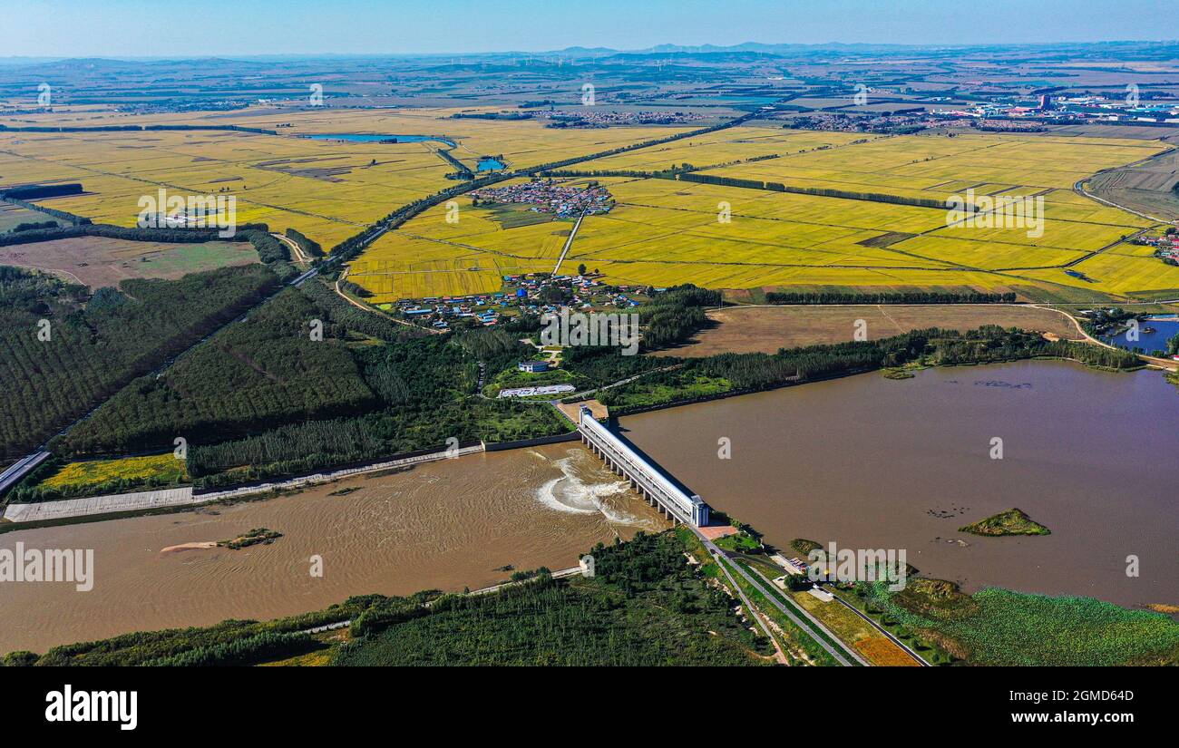Shenyang, China. 18th Sep, 2021. September 17, 2021, Shenyang, Liaoning ...