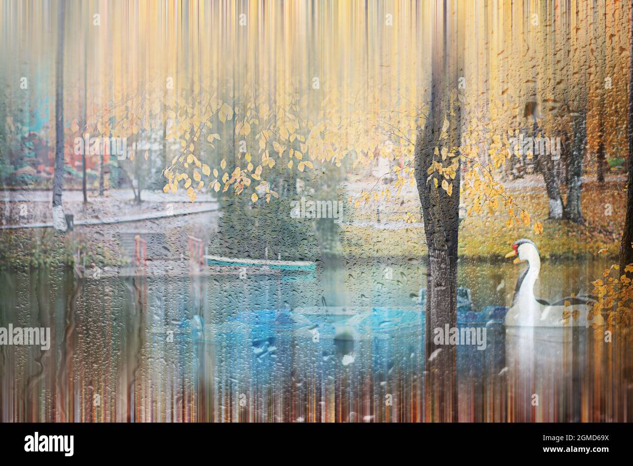 Background autumn rain in the park during the day Stock Photo - Alamy