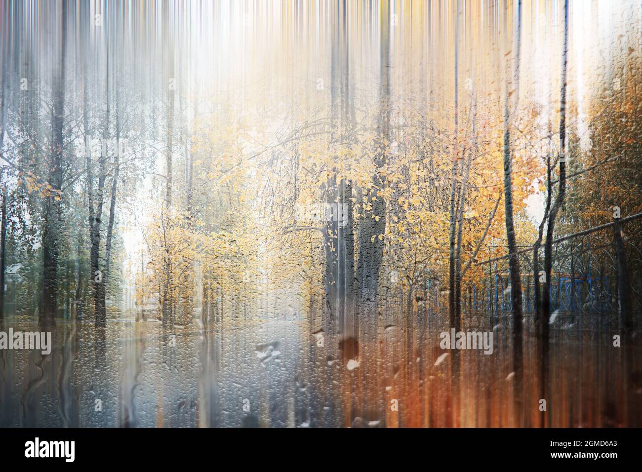 Background autumn rain in the park during the day Stock Photo - Alamy