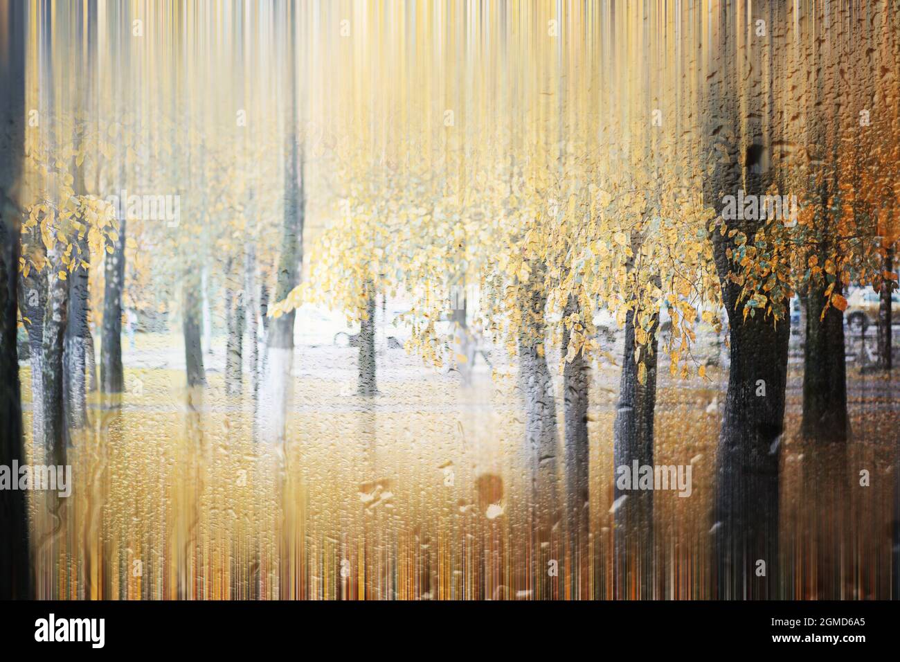 Background autumn rain in the park during the day Stock Photo - Alamy