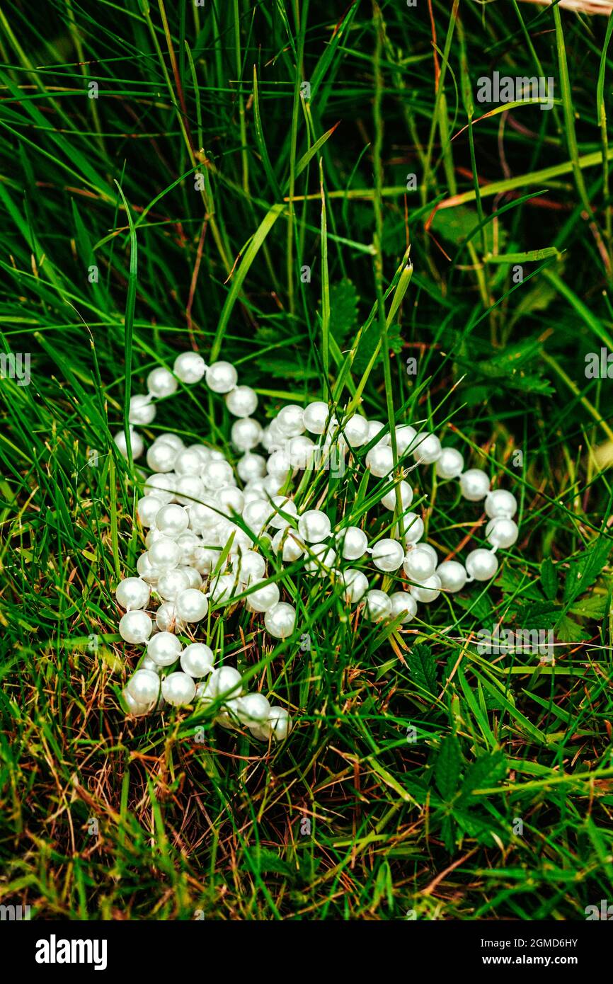 Pearl grass hi-res stock photography and images - Alamy