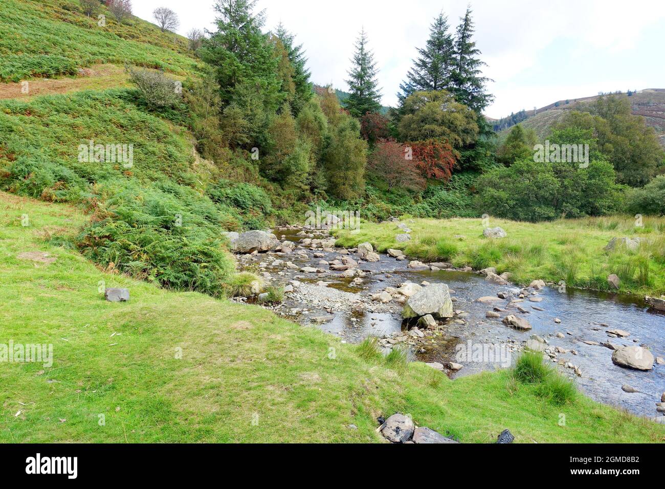 Afon Nadroedd (Snakes River) beauty spot, in the Berwyn Mountains ...