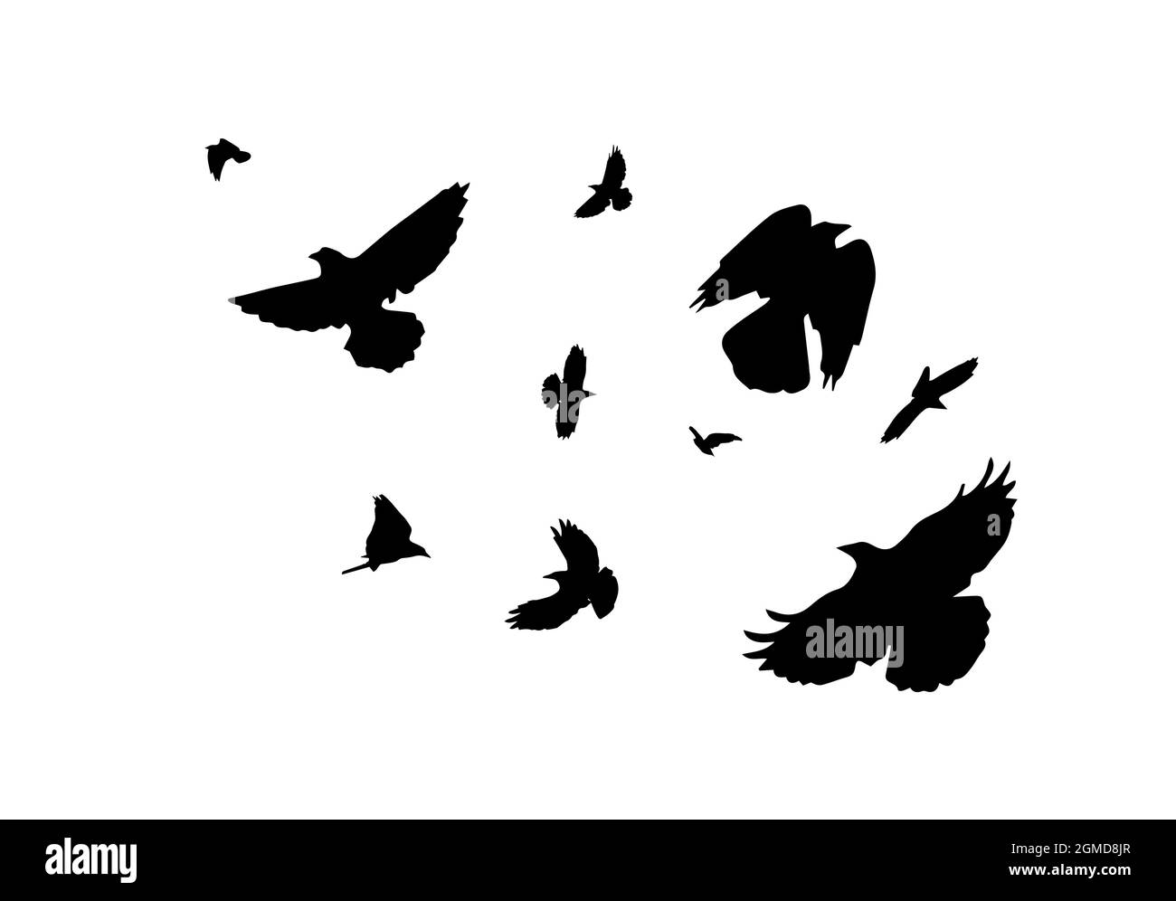 A flock of flying birds. Monochrome flying doves. Vector illustration ...