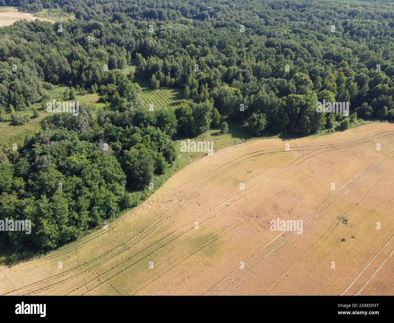 A large farm field near a green forest, aerial view. Scenery Stock ...