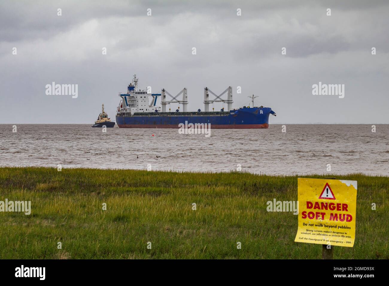 Sorsi hi-res stock photography and images - Alamy