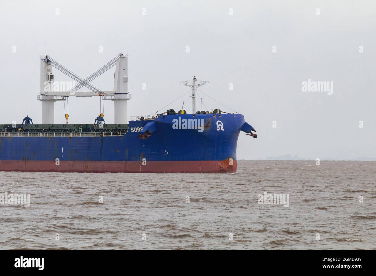 Sorsi hi-res stock photography and images - Alamy