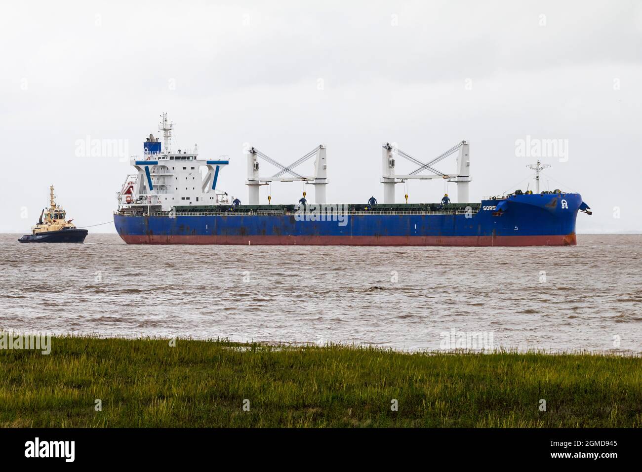 Sorsi hi-res stock photography and images - Alamy