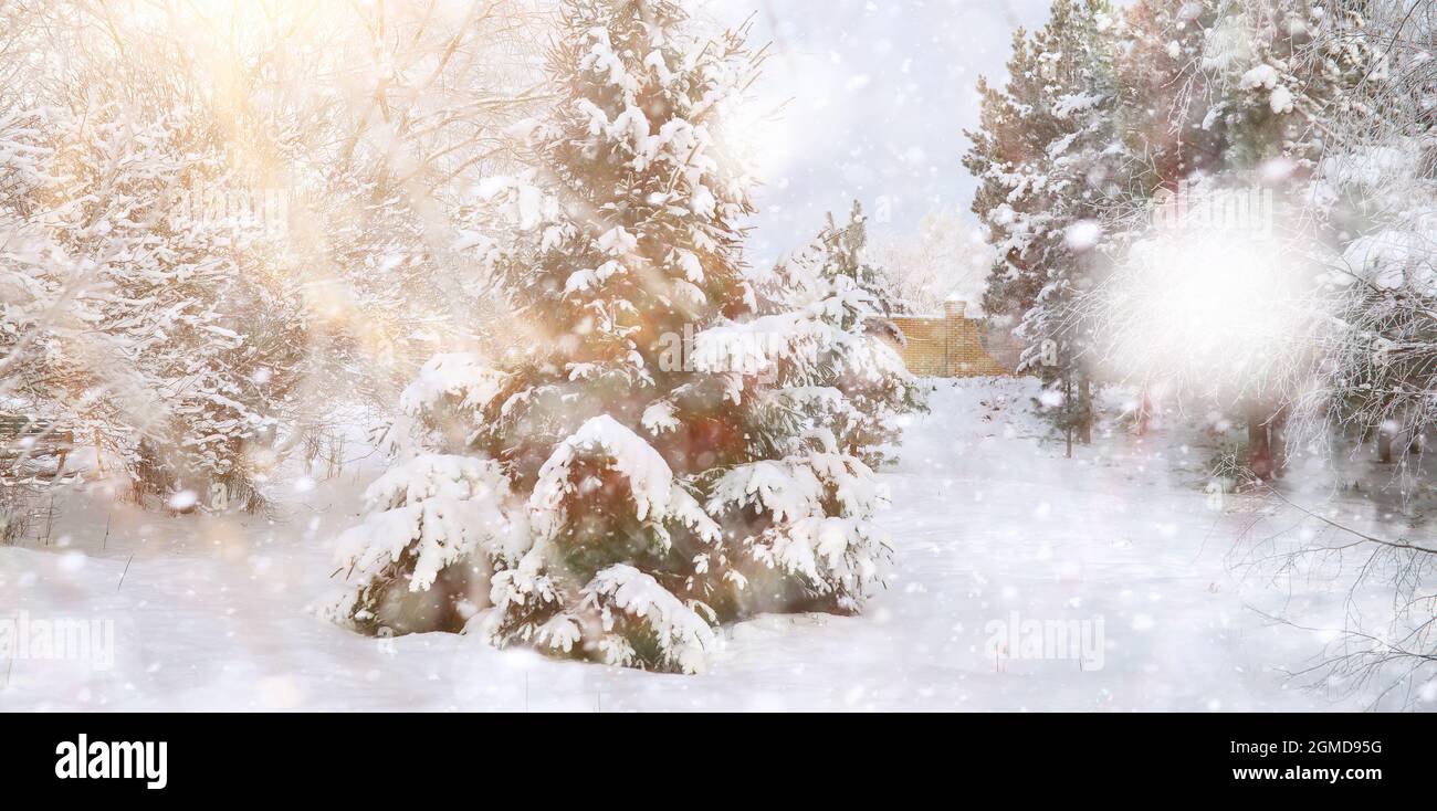 Winter Park. Landscape in snowy weather. January day Stock Photo - Alamy