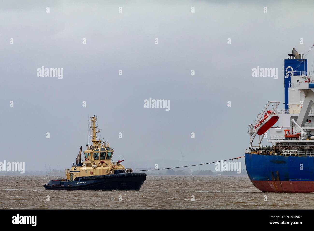 Sorsi hi-res stock photography and images - Alamy