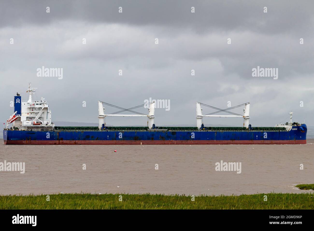 Sorsi hi-res stock photography and images - Alamy