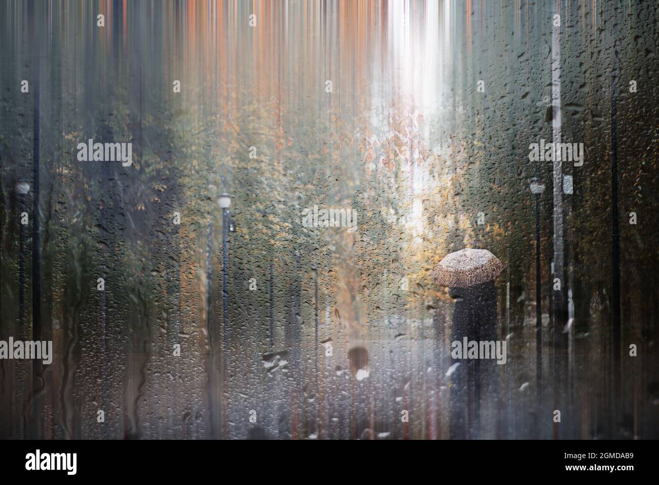 Background autumn rain in the park during the day Stock Photo - Alamy