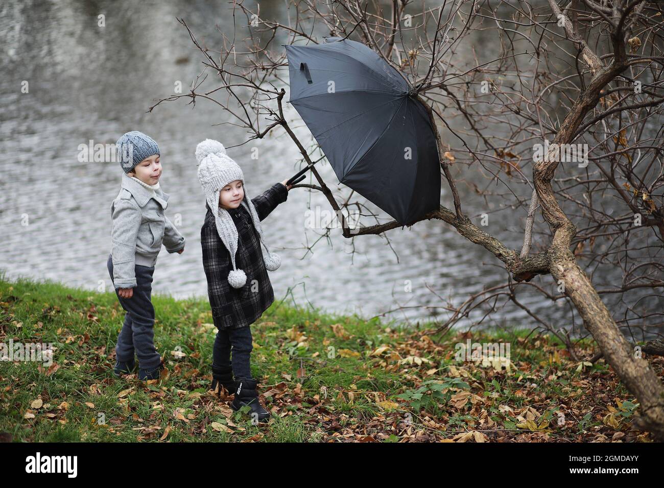 Children walk in the autumn park in the fall Stock Photo - Alamy
