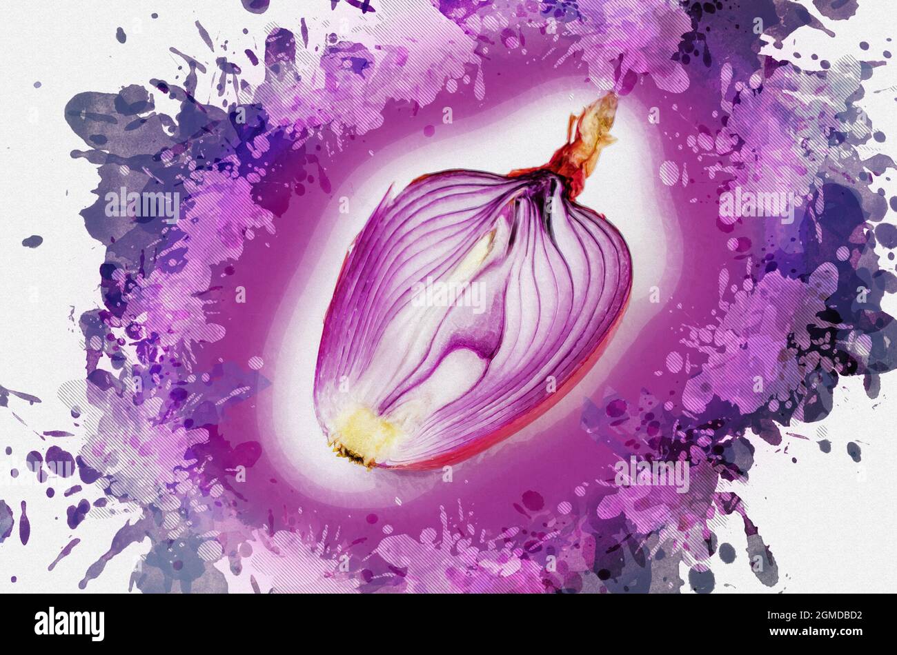 One half of a ripe Italian Onion Ramata di Milano. Cross-section Stock ...