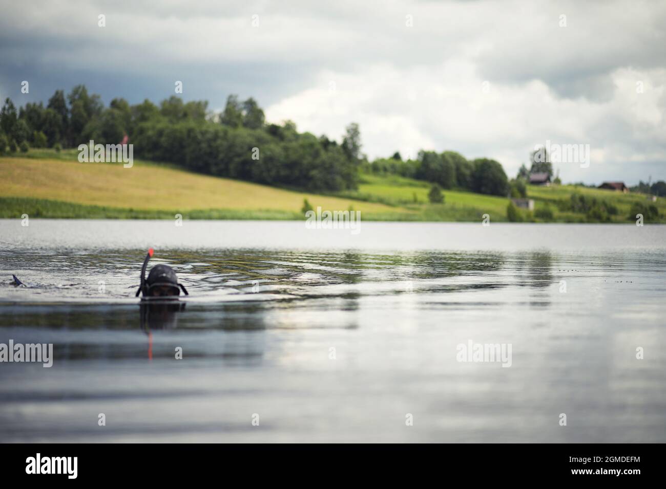 A scuba diver in a wet suit prepares to immerse in a pond Stock Photo ...