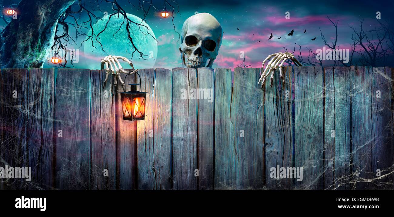 Halloween - Skeleton Holding Lantern On Wooden Banner In Night Stock ...