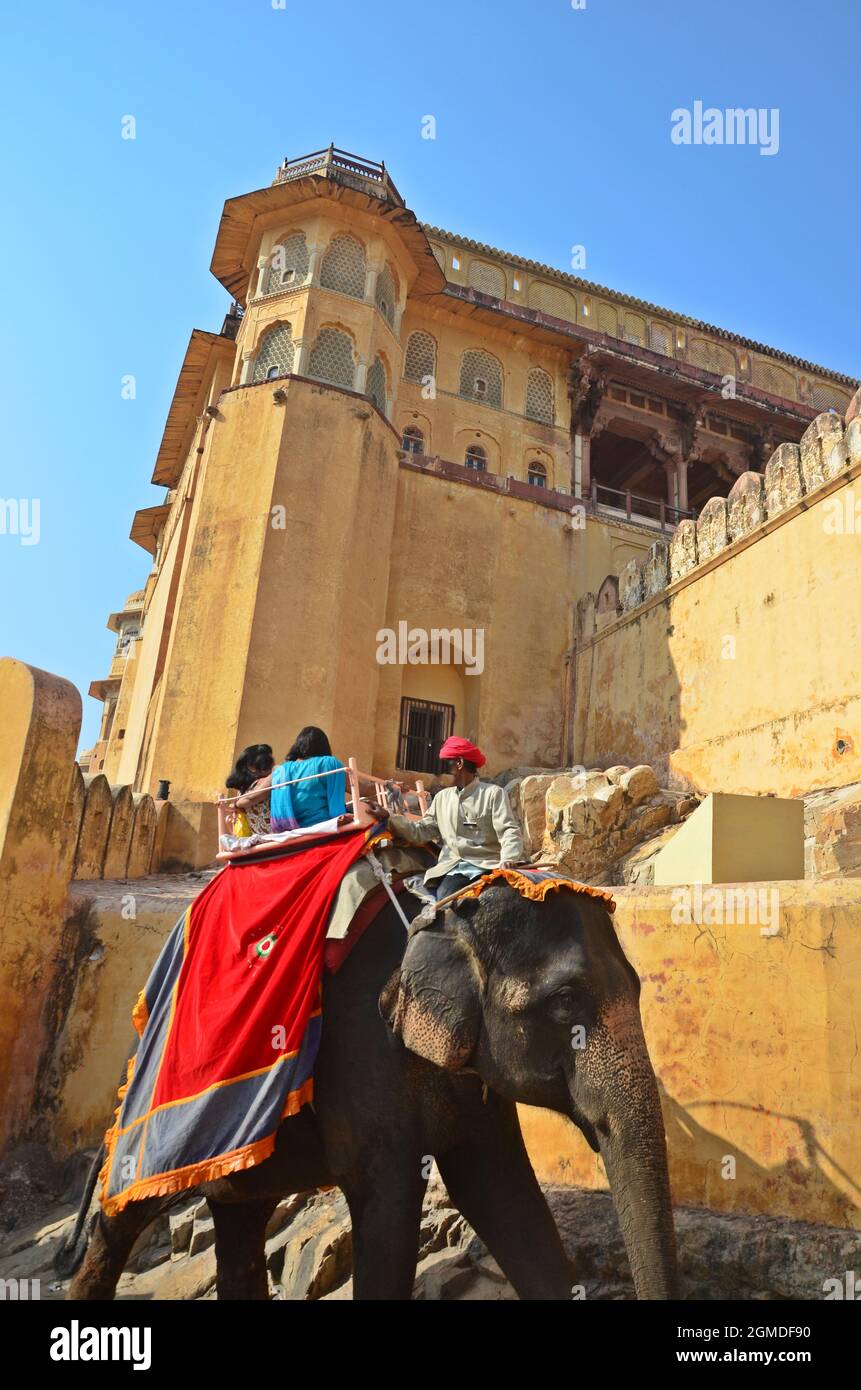 Elephant ride at Amer Fort (Amber Fort) Jaipur,rajasthan,india Stock ...