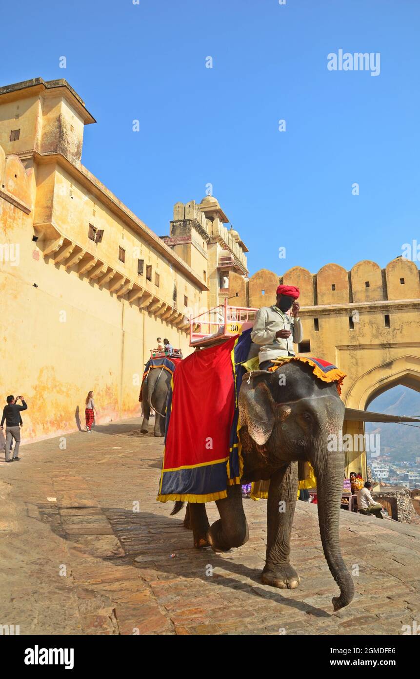 Elephant ride at Amer Fort (Amber Fort) Jaipur,rajasthan,india Stock ...