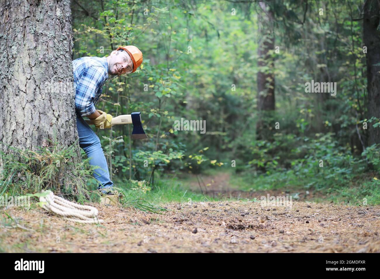 Male lumberjack in the forest. Professional woodcutter inspects trees ...