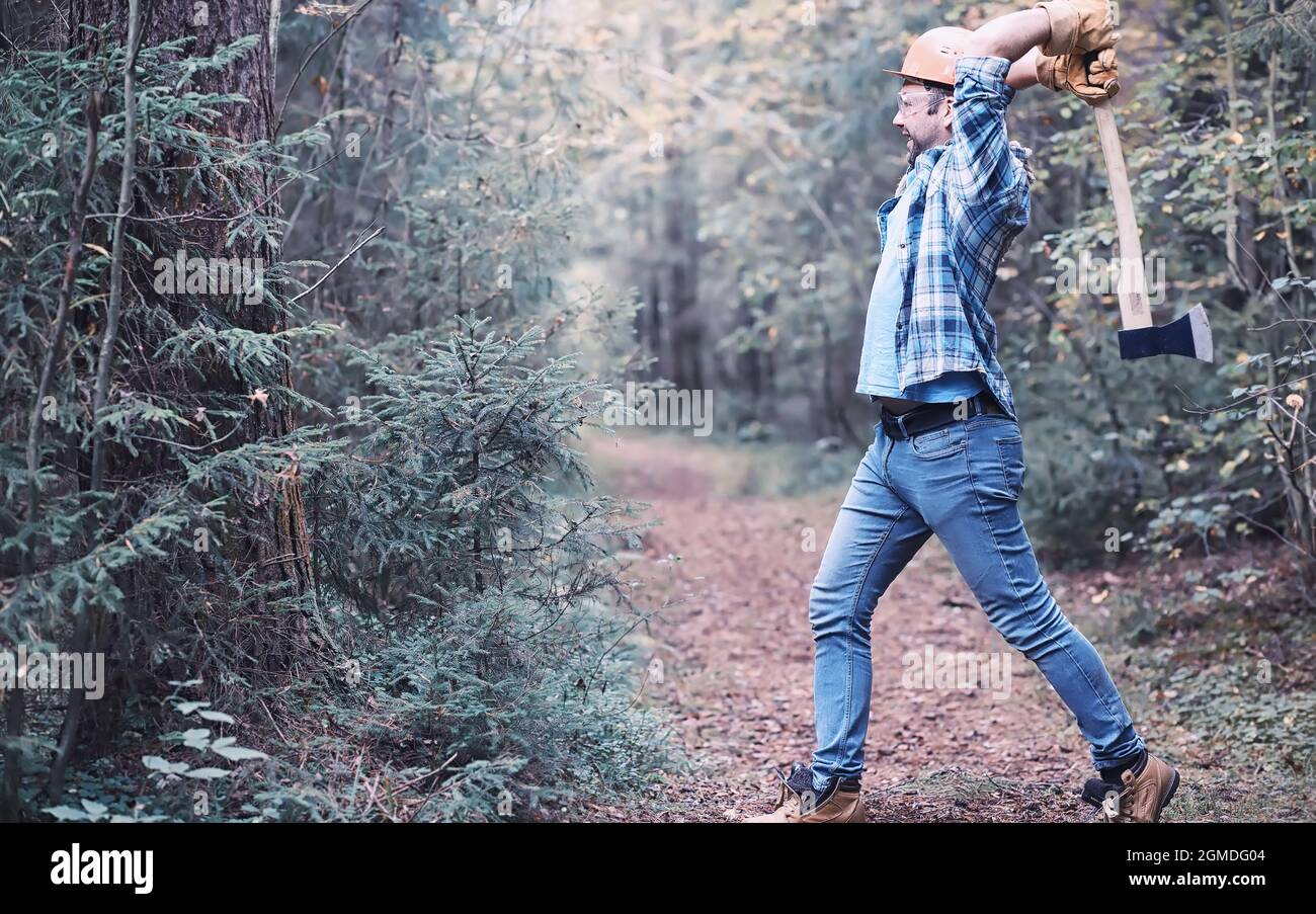 Male lumberjack in the forest. Professional woodcutter inspects trees ...