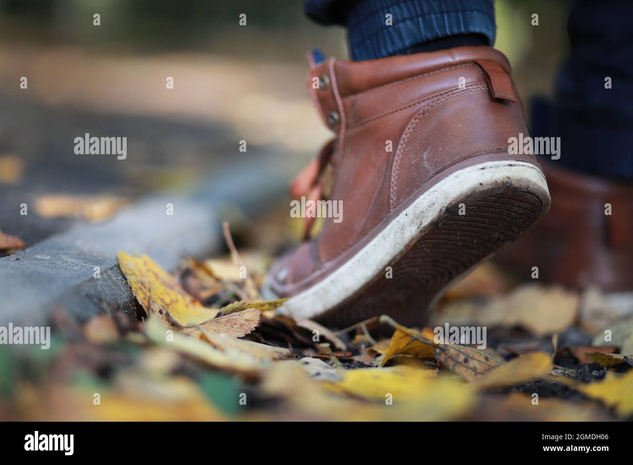 Autumn Park man walking along a path foliage Stock Photo - Alamy