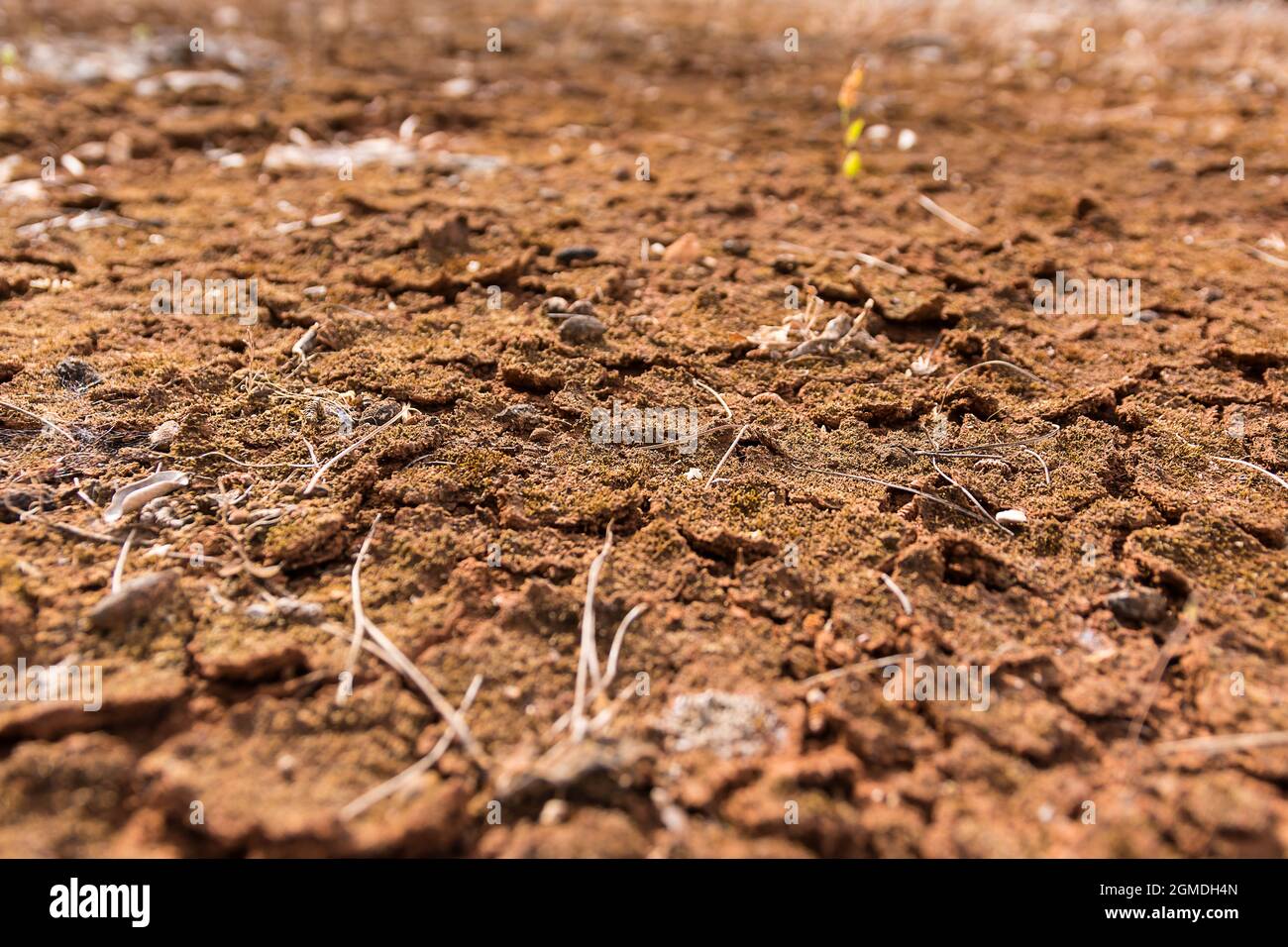 Arid land hi-res stock photography and images - Alamy