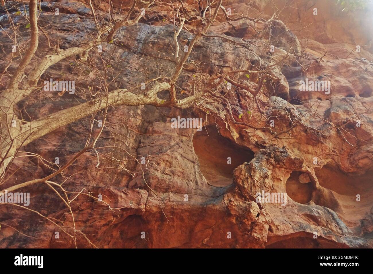 bhimbetka rock shelters , unesco heritage site , district bhopal ...