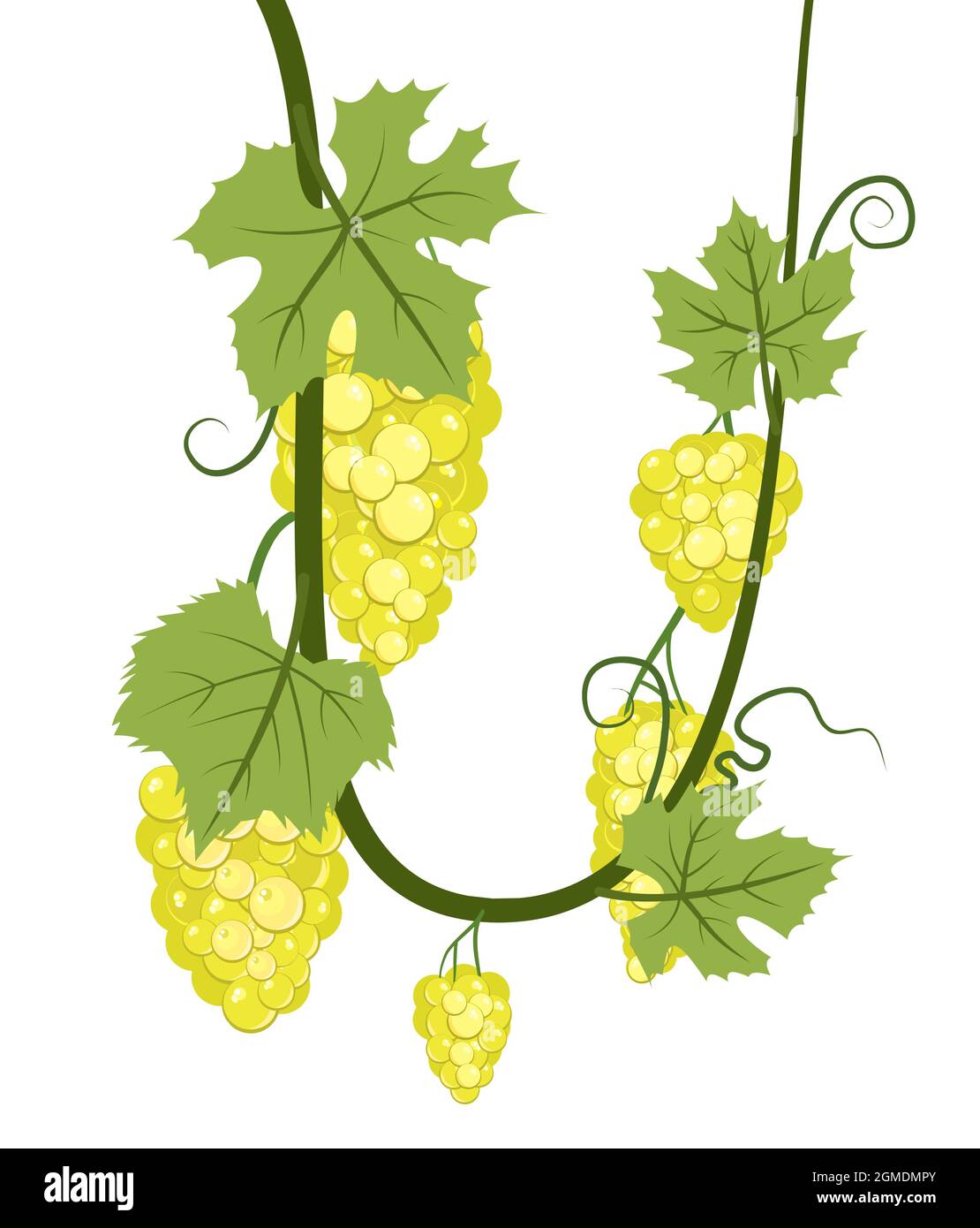 Vine yellow Stock Vector Images - Alamy