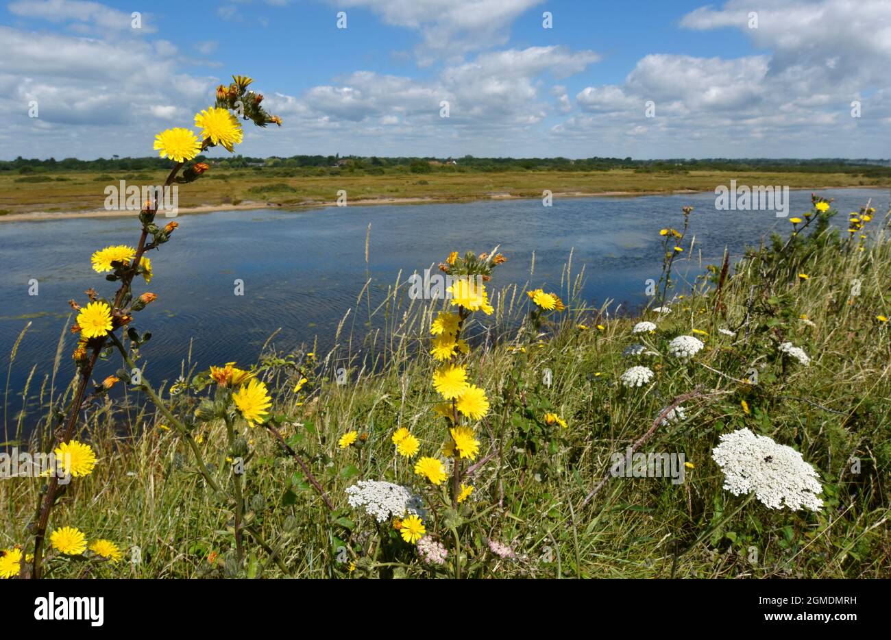 Coastal Lagoon - Pennington, Hampshire Stock Photo - Alamy
