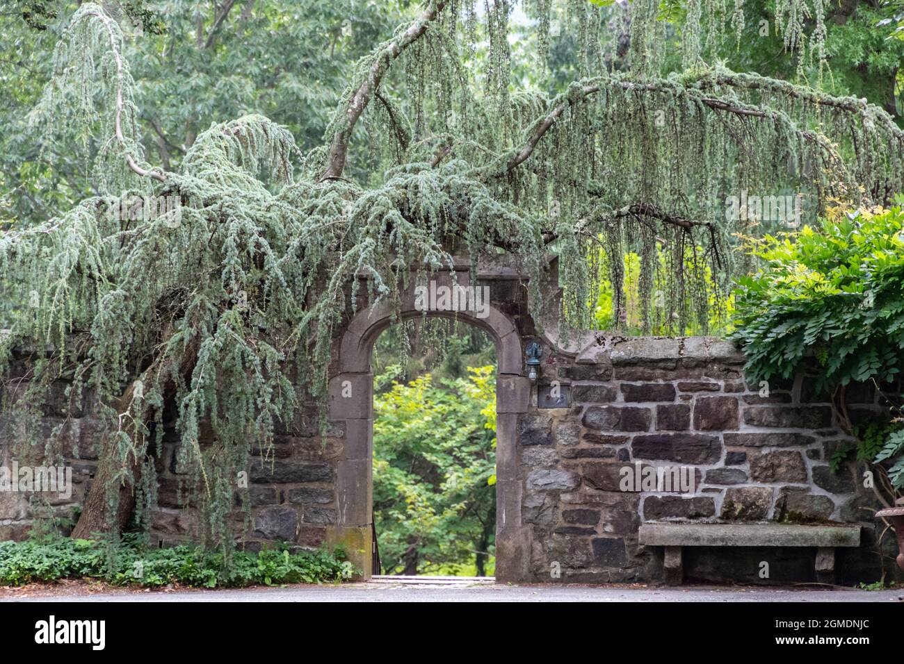 Trellis patio hi-res stock photography and images - Alamy