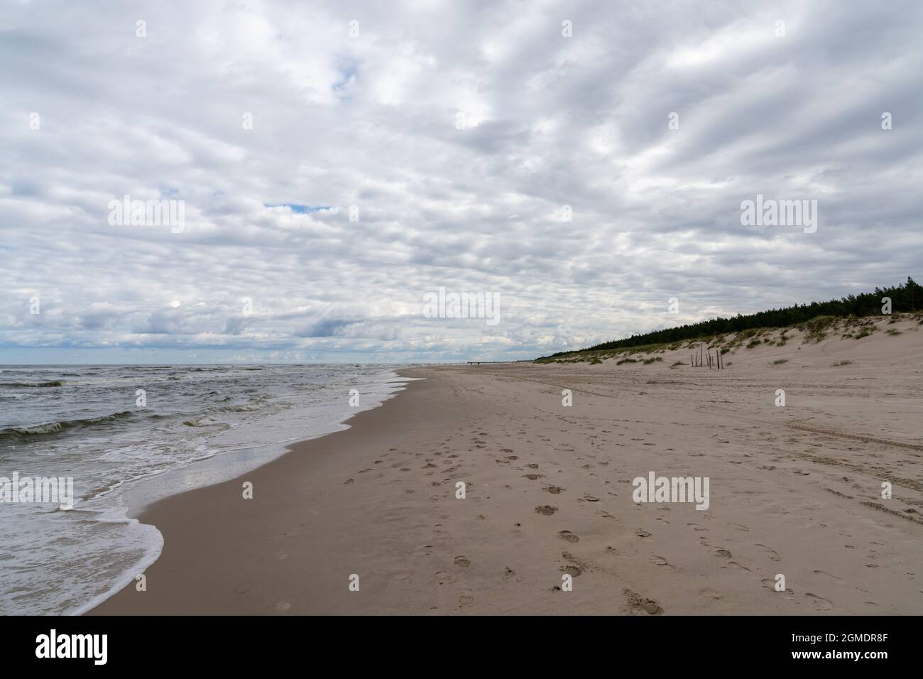 Endless pristine empty sand beaches with forest and sand dunes on the ...