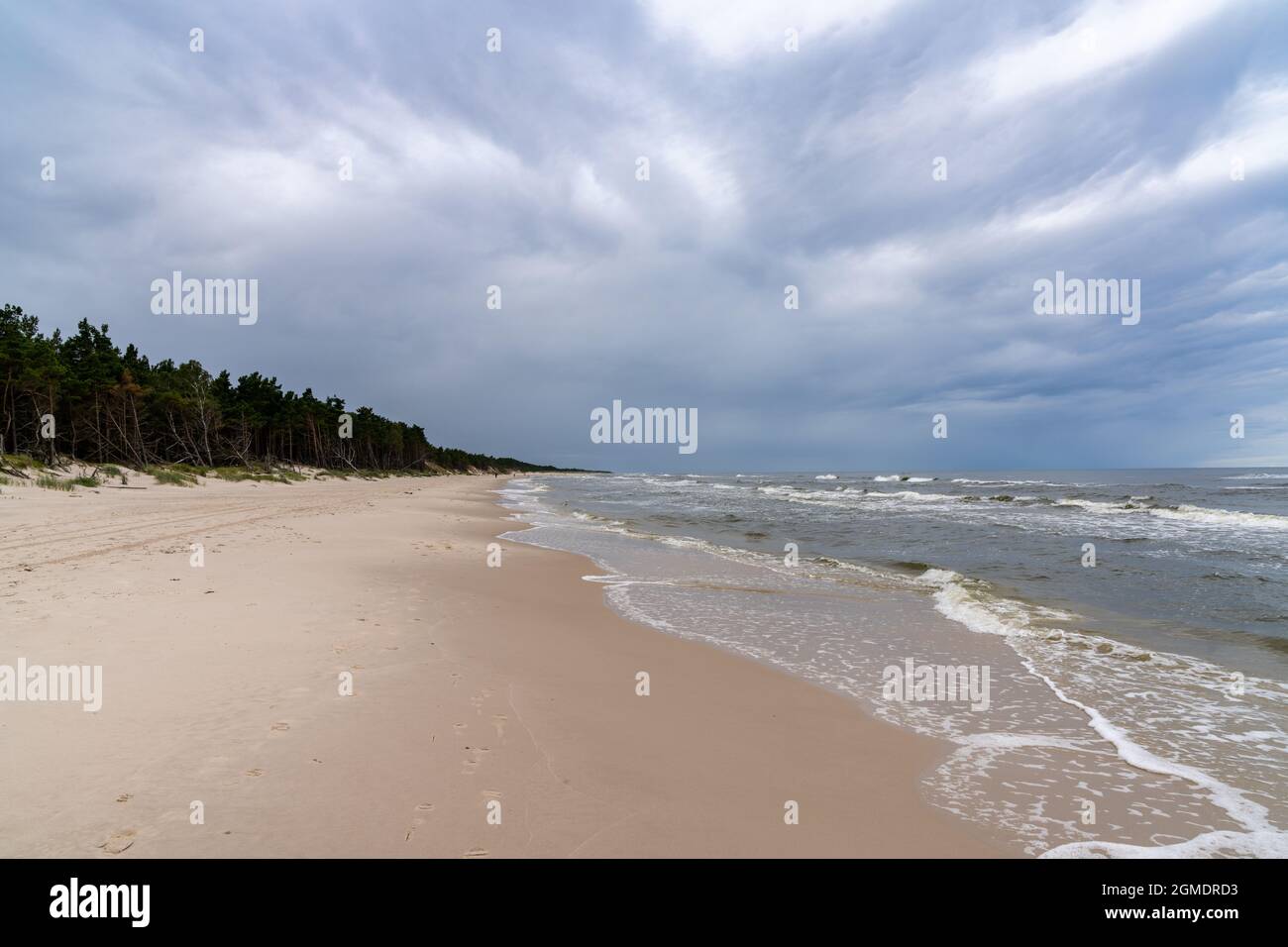 Endless pristine empty sand beaches with forest and sand dunes on the ...