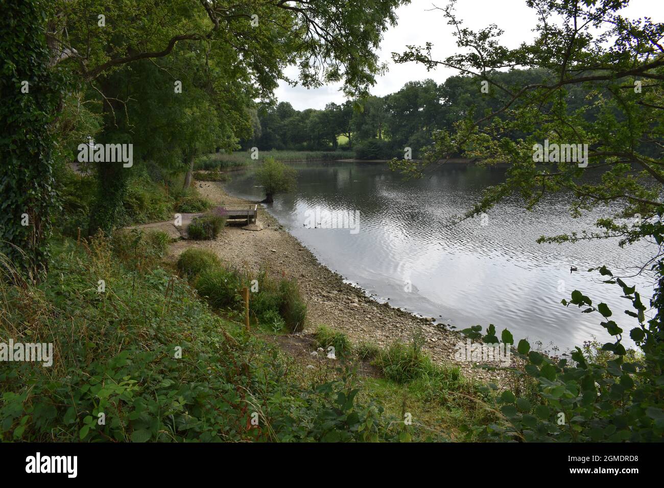 Chard Reservoir, Chard, Somerset, UK Stock Photo - Alamy