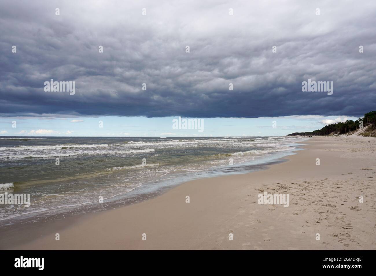 Endless pristine empty sand beaches with forest and sand dunes on the ...